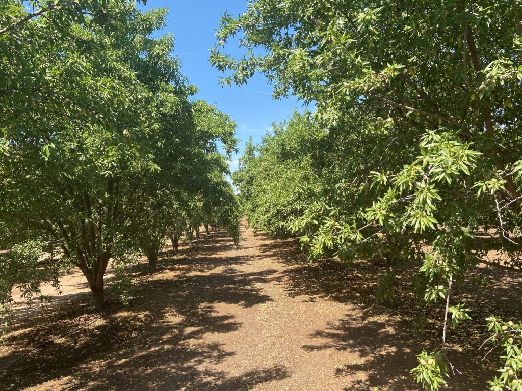 Chester Farm - Leading Harvest